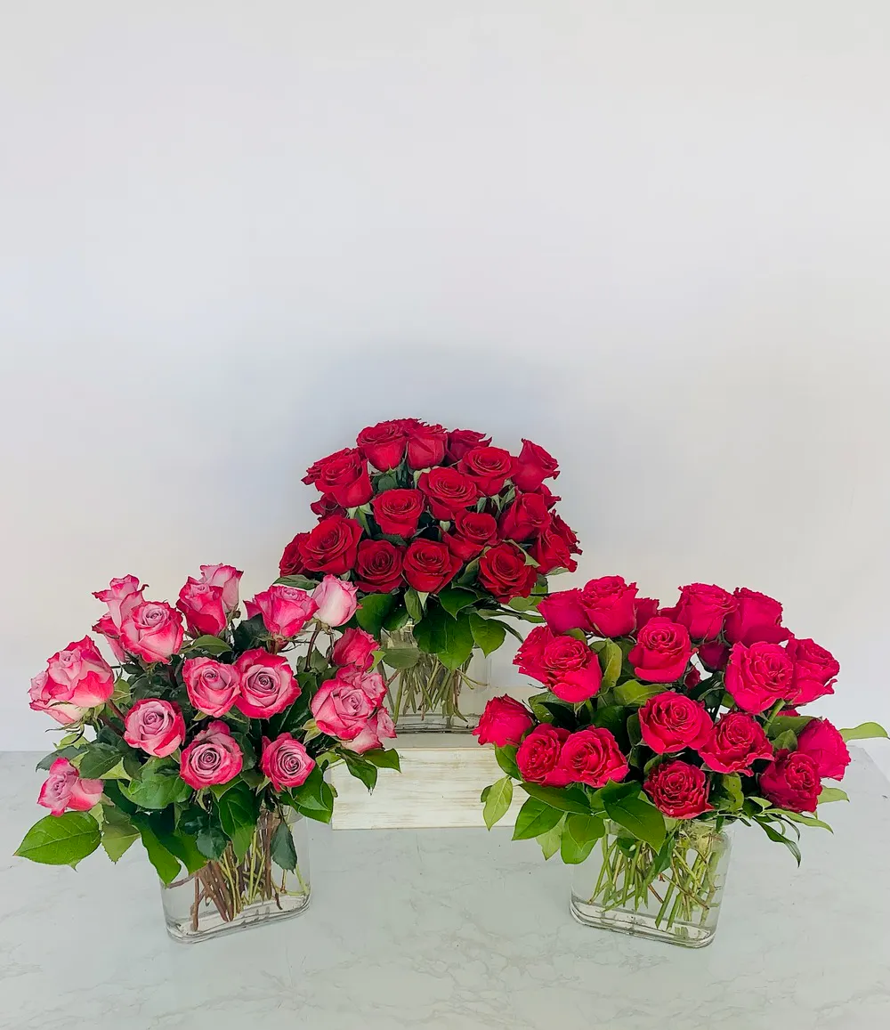 Rose Cube | Modern Rose Arrangements Arlington TX